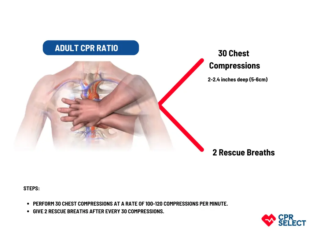 CPR Ratio for Adults, Children, and Infants: A Comprehensive Guide